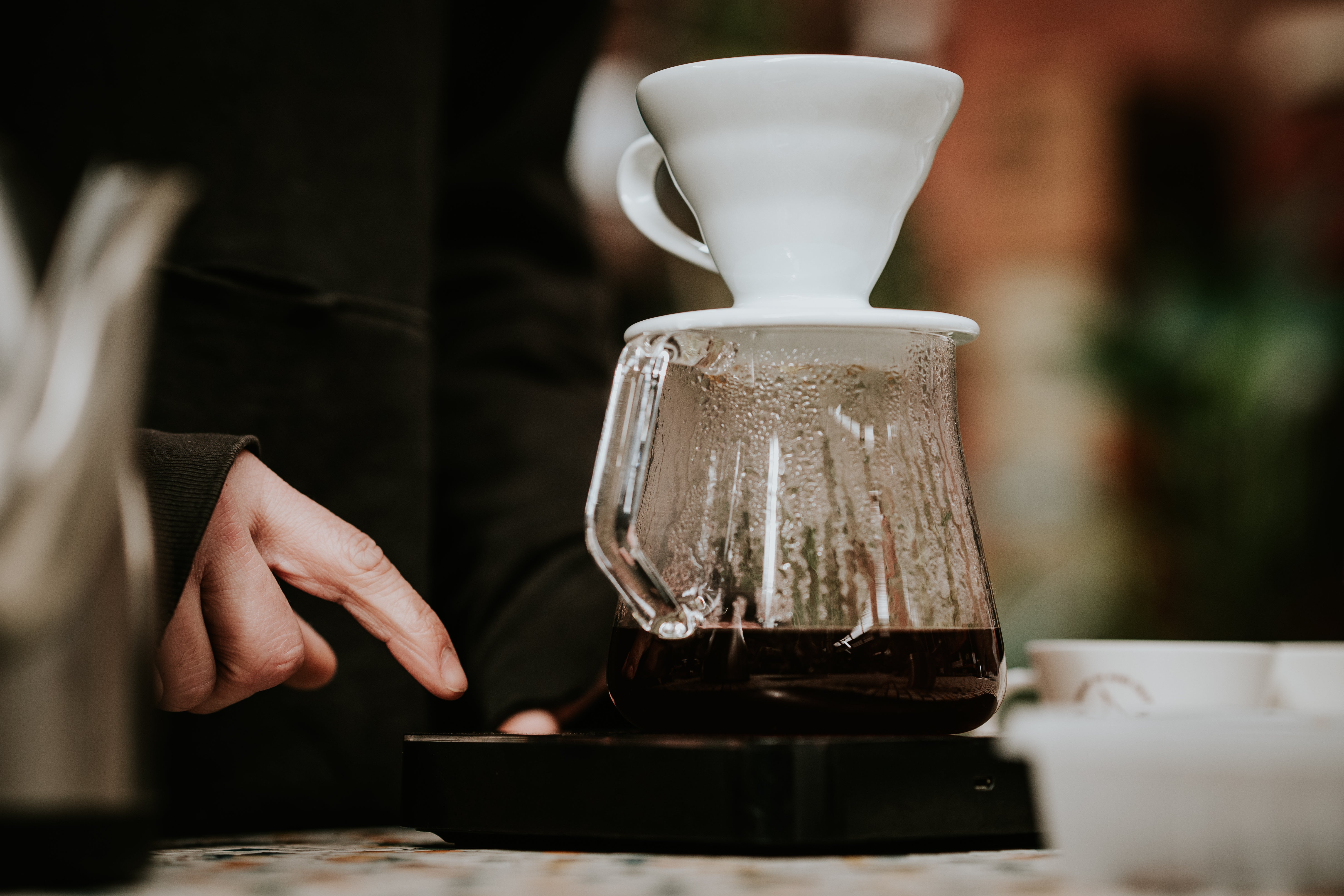 Premium Brew Gear Collection | Wood and Co Coffee